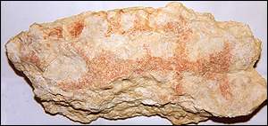 The paintings show a human figure with the head of an animal.