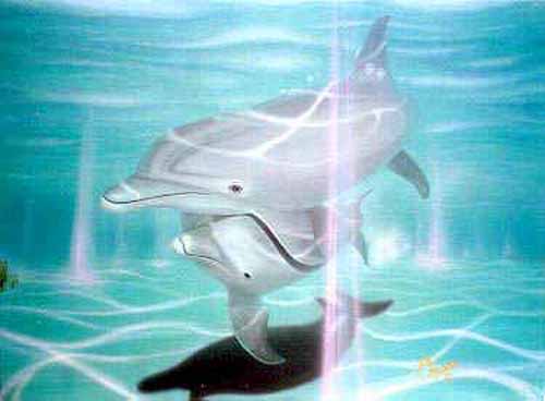 Dolphins - Healing, Metaphysics, and Mythology - Crystalinks