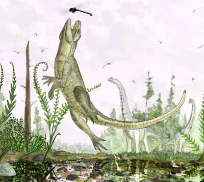 Crocodile Fossils - Crystalinks