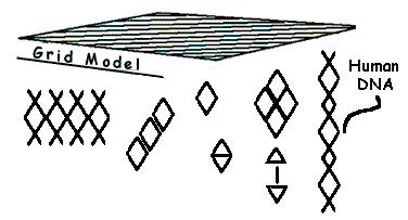 Metaphysics and Grids