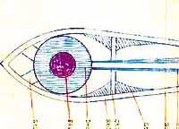 Week of May 29-June 4