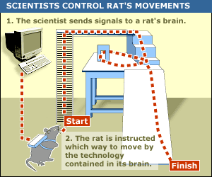 Research with Animals