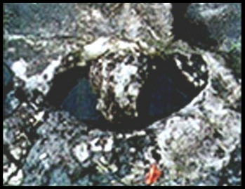 Native American Current Archaeological Discoveries